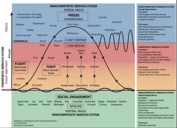 Light Blue -> Courses